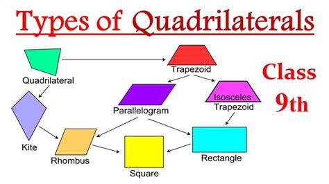 Types Of Quadrilateral Class 9 Types Of Quadrilaterals And Their