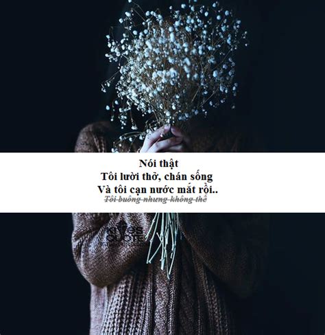 Tìm hiểu 100 tải hình nền những câu nói hay tuyệt vời nhất POPPY