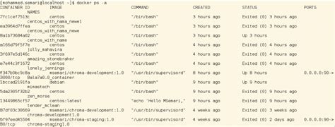 learn basic docker containers manipulation by examples part 1 mimastech linux technical