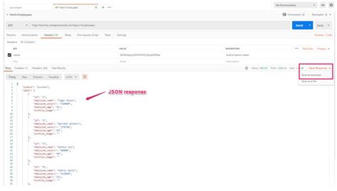 Using Postman For API Documentation