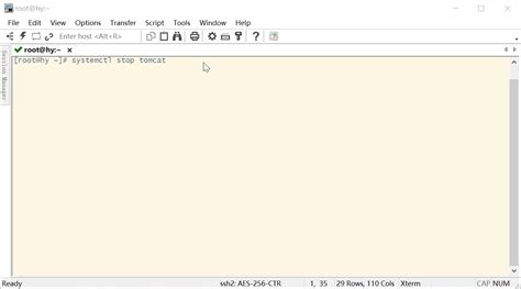 linux删除tomcat服务器上 linux安装与卸载tomcat8的详细图文教程 csdn博客