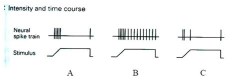 Physiology Blocks Exam Practice Questions Flashcards Quizlet