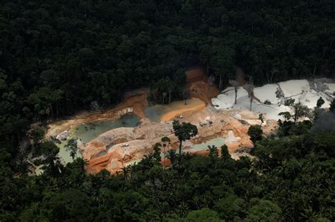 La selva amazónica asediada por la minería ilegal Infobae