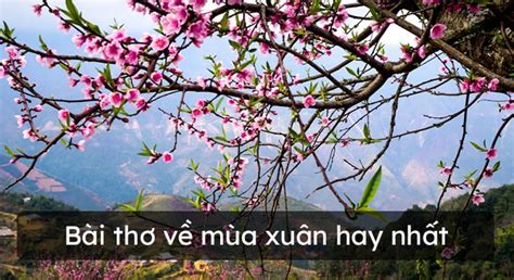 Nh Ng B I Th M A Xu N Hay Nh T Th V M A Xu N Hoatieu Vn