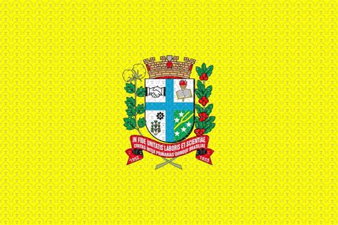 Brasão e Bandeira da Cidade de Paranavaí PR mbi br