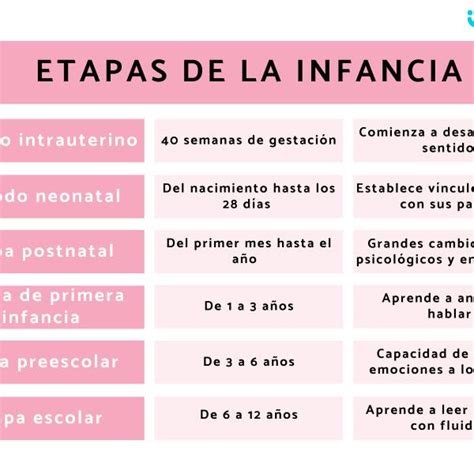 Fases Y Etapas De La Vida Escolar Infoupdate Org