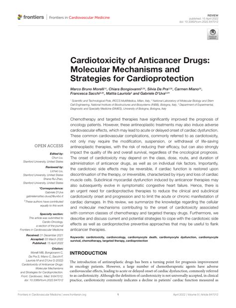 PDF Cardiotoxicity Of Anticancer Drugs Molecular Mechanisms And