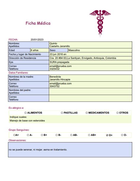 Ficha Medica 01 Phidias Plantillas