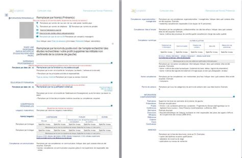 Cv N Limba Francez Model Cv Simplu I Eficient Curriculum Vitae