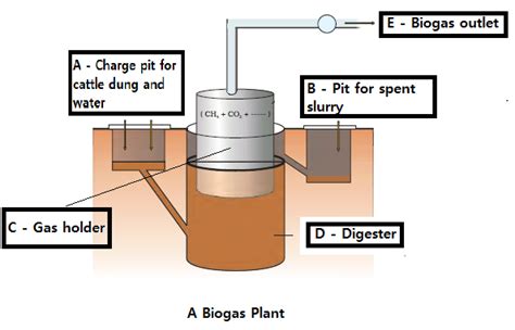Study The Given Diagram Of A Biogas Plant And Choose The Correct Option