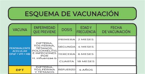 Las Primeras Vacunas De Mi Cartilla Nacional De Salud Nueva Escuela