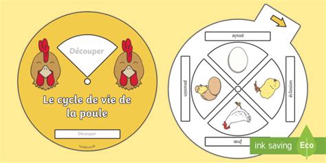 Roue Le Cycle De Vie De La Poule Teacher Made