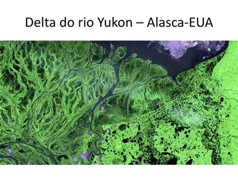 PPT Bacia Hidrográfica é a área drenada por um rio principal e seus