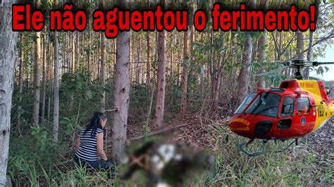 Lenhador Perde Sua Vida Trabalhando YouTube