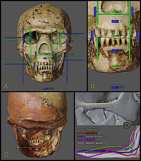 Aproximação facial revela Homo sapiens de ao menos 80 mil anos veja