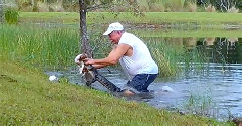 À 74 ans il se jette à l eau pour sauver son chien de la gueule d un