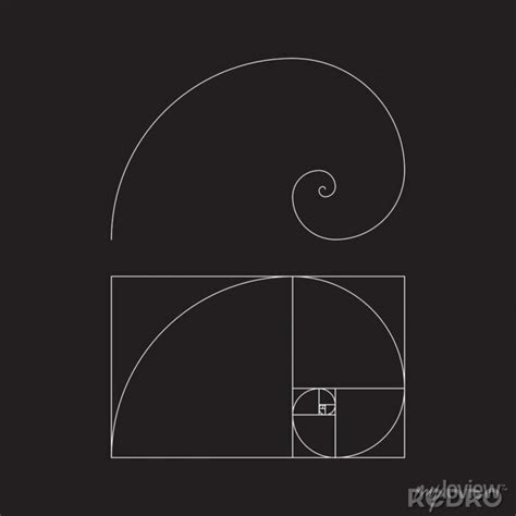 Golden Ratio Template Vector Divine Proportions Golden Proportion