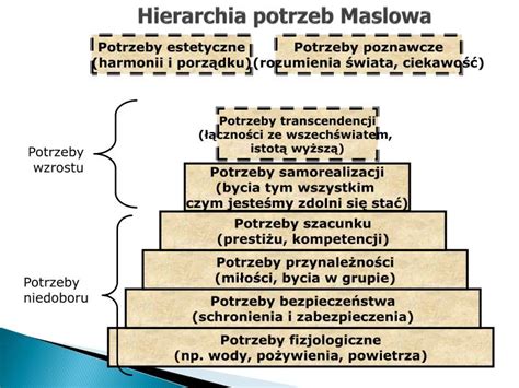 Ppt Potrzeby I Motywacja Powerpoint Presentation Id