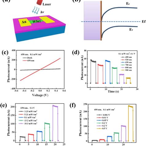 Optoelectronic Properties Of The WSe 2 Flake Photodetector A