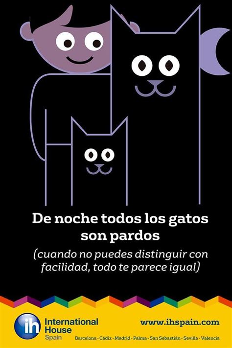 De Noche Todos Los Gatos Son Pardos