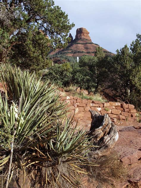 Fotos gratis paisaje árbol naturaleza al aire libre arena rock