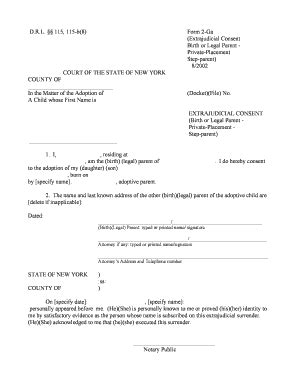 Fillable Online Nycourts D R L 115 115 B 8 Form 2 Ga Birth Or Legal