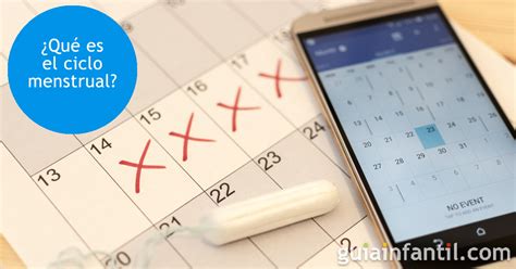 Cómo funciona el ciclo menstrual con fotos Fertilidad de la mujer