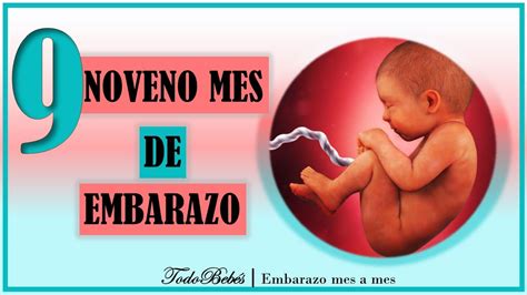 NOVENO MES DE EMBARAZO SEMANA 36 A 40 TERCER TRIMESTRE