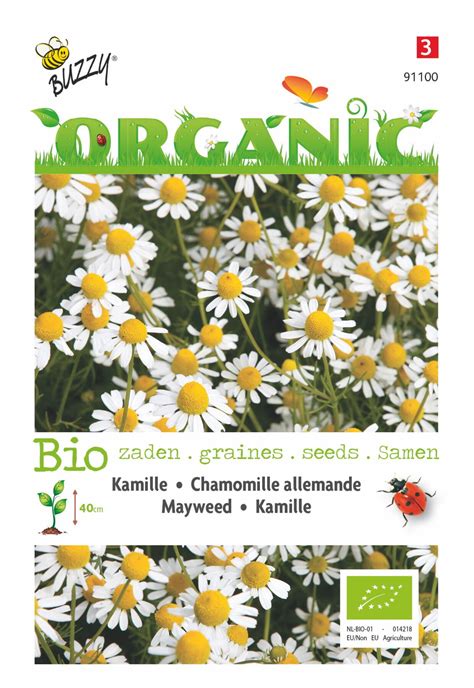 Matricaria Chamomilla Bio Kaufen Sie Samen Bei Coolplants