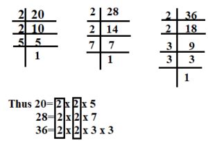 LCM And HCF Different Method To Find LCM And HCF Examples And