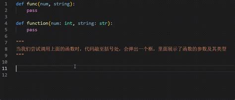 python 代码智能感知 —— 类型标注与特殊的注释（所有人都需要知道） python intellisense csdn博客