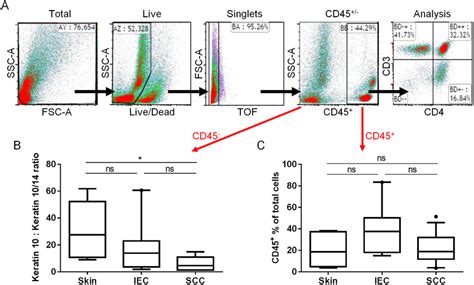 Gating Strategy For Analysis Of Immune Cell Populations In Tumour