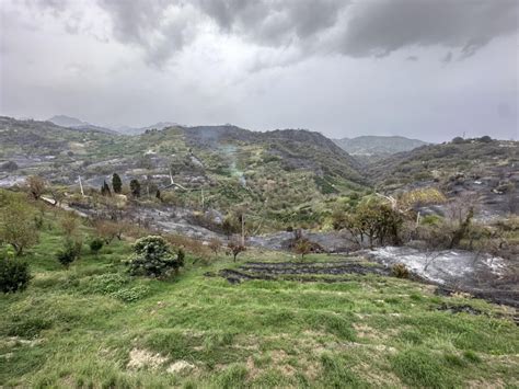 Emergenza Incendi Nel Messinese Ingenti Danni FOTO