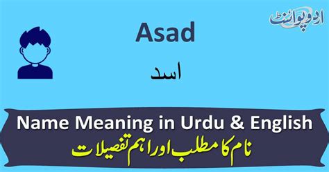 Asad Name Meaning In Urdu Asad Muslim Boy Name