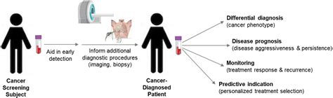Current And Future Opportunities For Liquid Biopsy Of Circulating