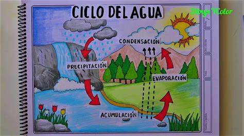 Ciclo Del Agua Dibujo Con Nombres Infoupdate Org