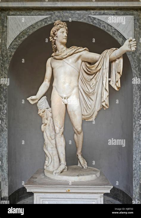Art Sculptures Exhibited In The Vatican Museum Statue Of Apollo Del