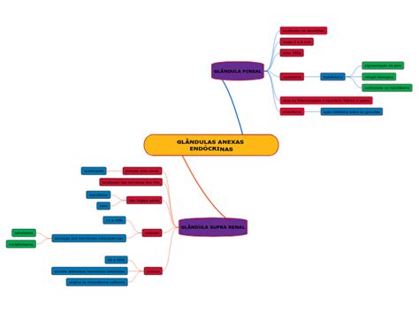 GLÂNDULAS ANEXAS ENDÓCRINAS Mind Map