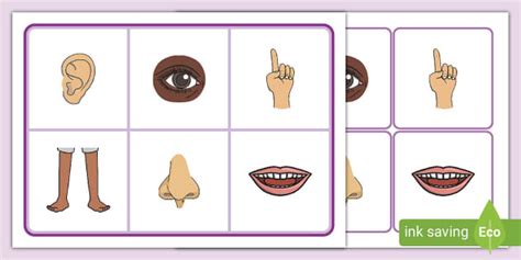 Body Parts Matching Cards And Board Teacher Made Twinkl
