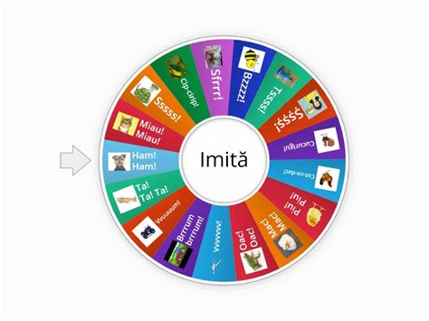 Roata Aleatorie Ioana Dezmirean Random Wheel