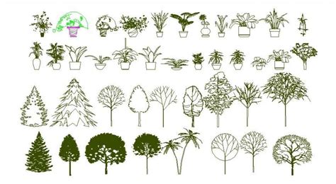 Dynamic Trees And Plants With Pot Blocks Cad Drawing Details Dwg File