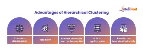 What Is Hierarchical Clustering Types Method Applications