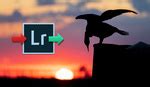 How To Import And Export Images In Lightroom More Efficiently Fstoppers