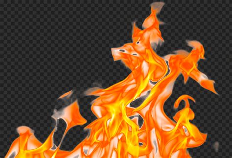 Hd Illustration Realistic Fire Flame Png Citypng The Best Porn Website