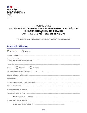 Remplissable En Ligne Qu Est Ce Que La Rgularisation D Un Tranger Par