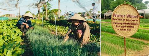 Kinh nghiệm du lịch Hội An TRỌN BỘ thời gian đi lại ăn ở vui chơi