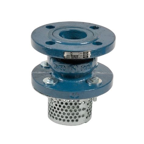 Clapet A Bride FONTE DN 80 PN 16 Crépine Raccord Pompe a eau