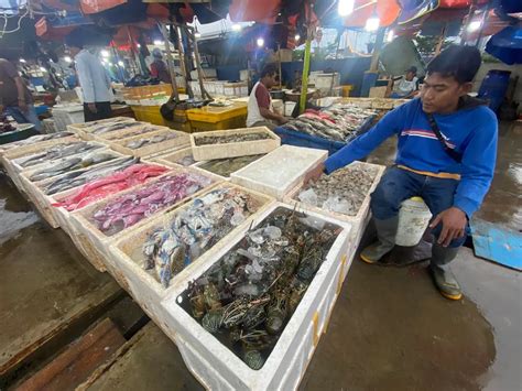 Komoditas Udang Dominasi Ekspor Perikanan Indonesia Di Semester I 2023