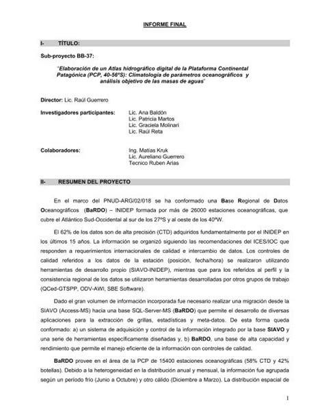 Total 105 Imagen Modelo De Informe De Un Proyecto Abzlocal Mx
