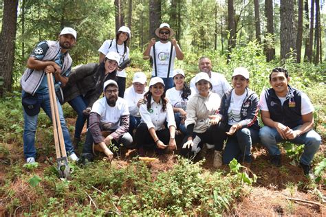 Plantan más de mil 700 árboles en campamento turístico de Rancho Viejo